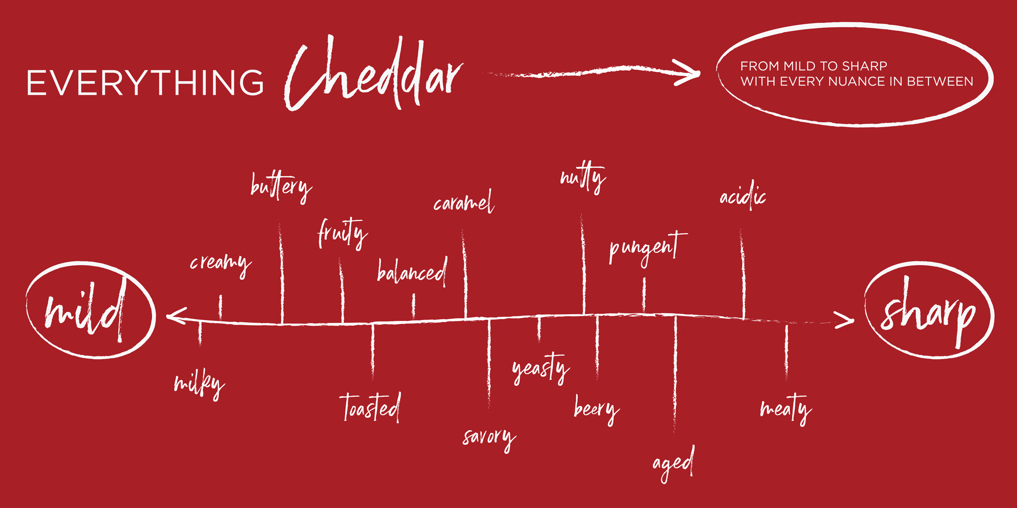 Cheese Flavors - Create an Authentic Taste in Any Application | Edlong